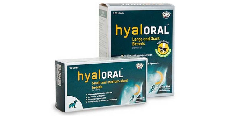 Condroprotectores para Perros: Los 7 Mejores | Guía 2023