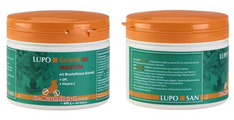 Condroprotectores para Perros: Los 7 Mejores | Guía 2023