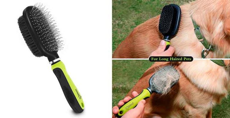 Cepillos para Perros y Gatos: Los 10 Mejores | Guía 2023