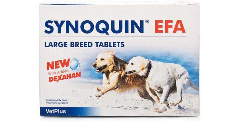 Condroprotectores para Perros: Los 7 Mejores | Guía 2023